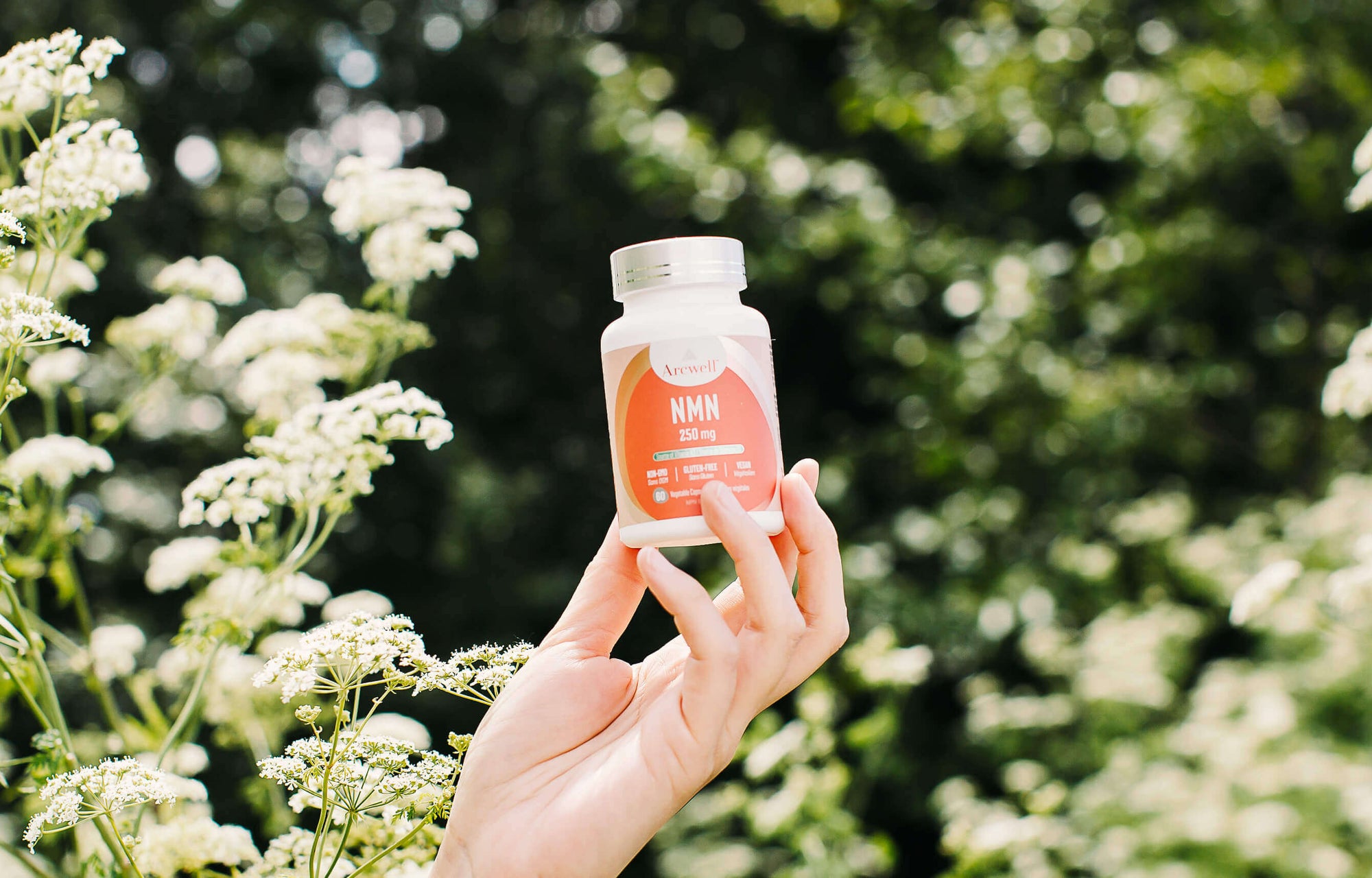 Contact Us | Arcwell Health Supplements